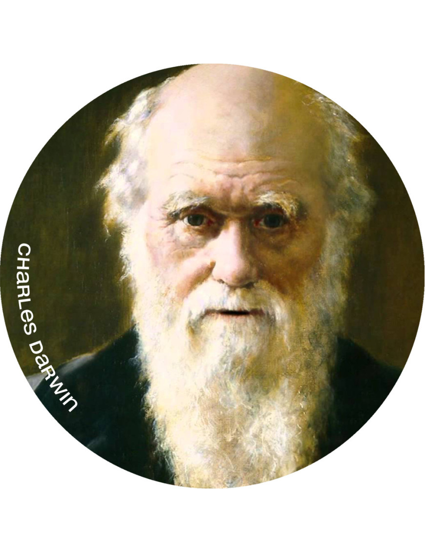 Charles Darwin (15x15cm) - Sticker/autocollant