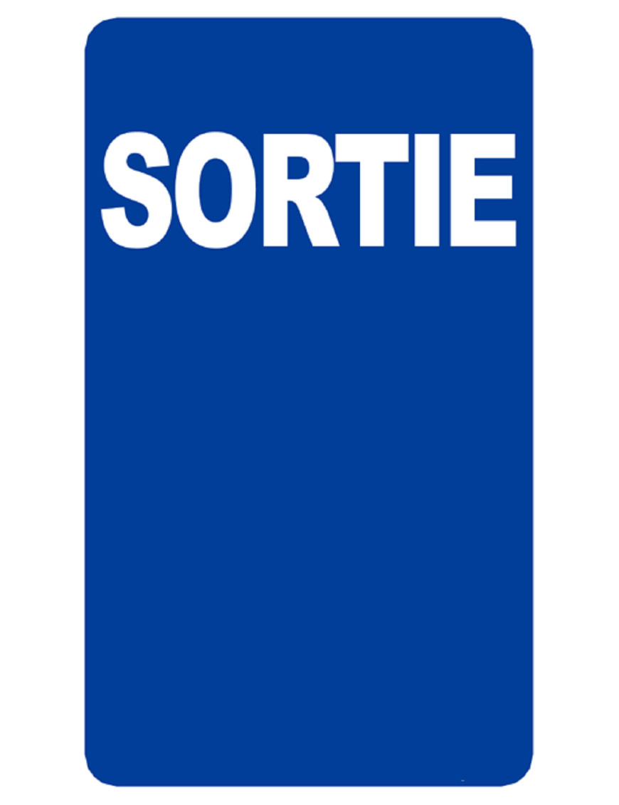 Sortie (25x15cm) - Sticker/autocollant
