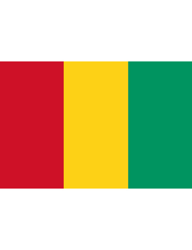 Drapeau Guinée (19.5x13cm) - Sticker/autocollant