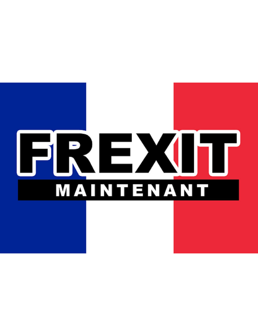 FREXIT - 5x3,3cm - Sticker/autocollant